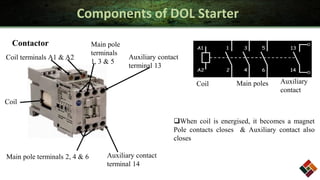 Dol starter by kantiakapil | PDF