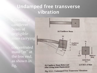 Undamped free Vibration | PPT