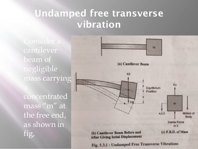 😊 Free vibration of cantilever beam. Free Vibration of a Cantilever ...