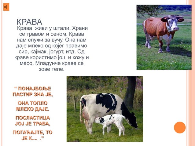 Domace zivotinje | PPT