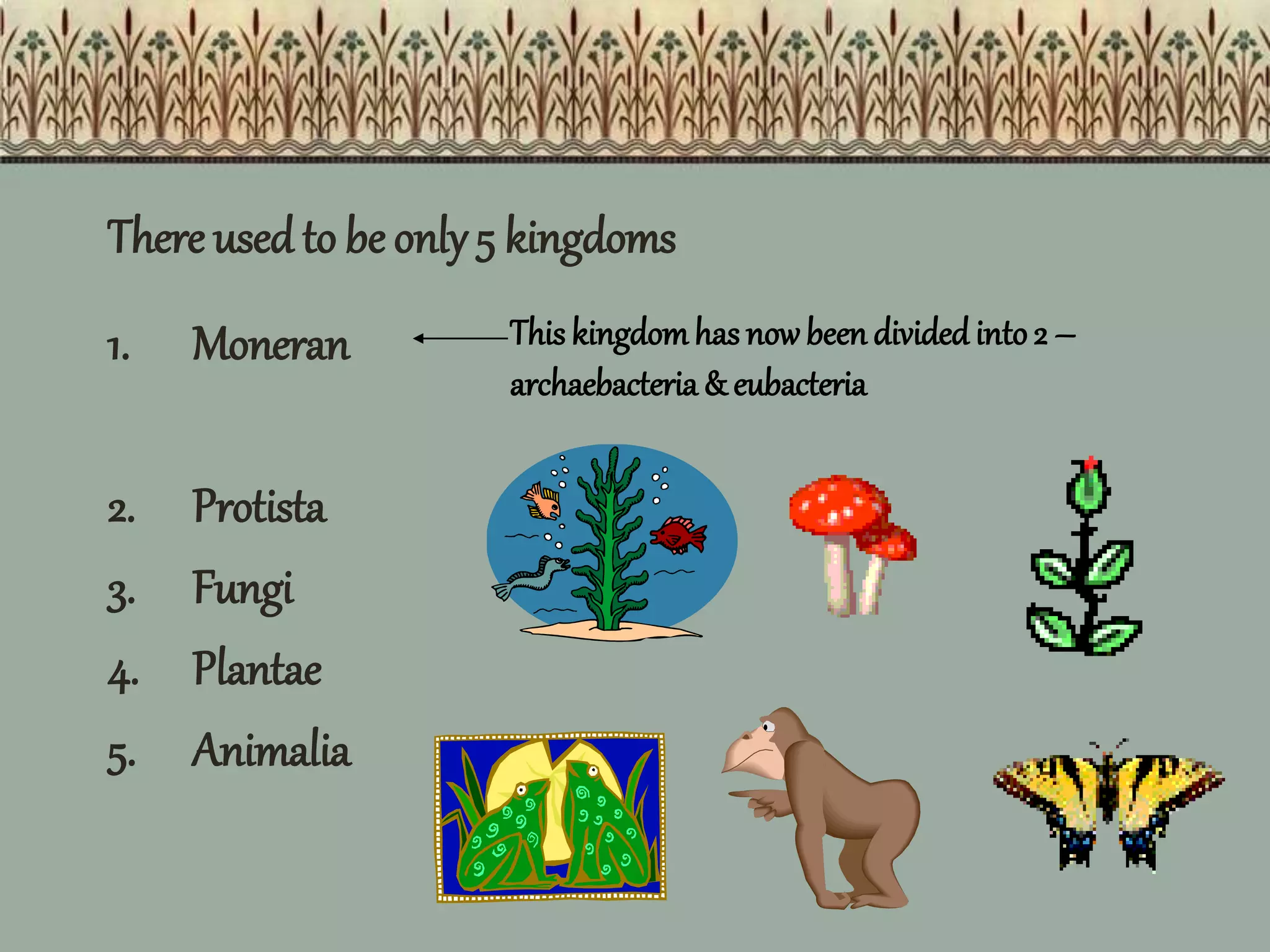 DOMAIN-KINGDOM-PHYLUM.pptx | Geography | Science