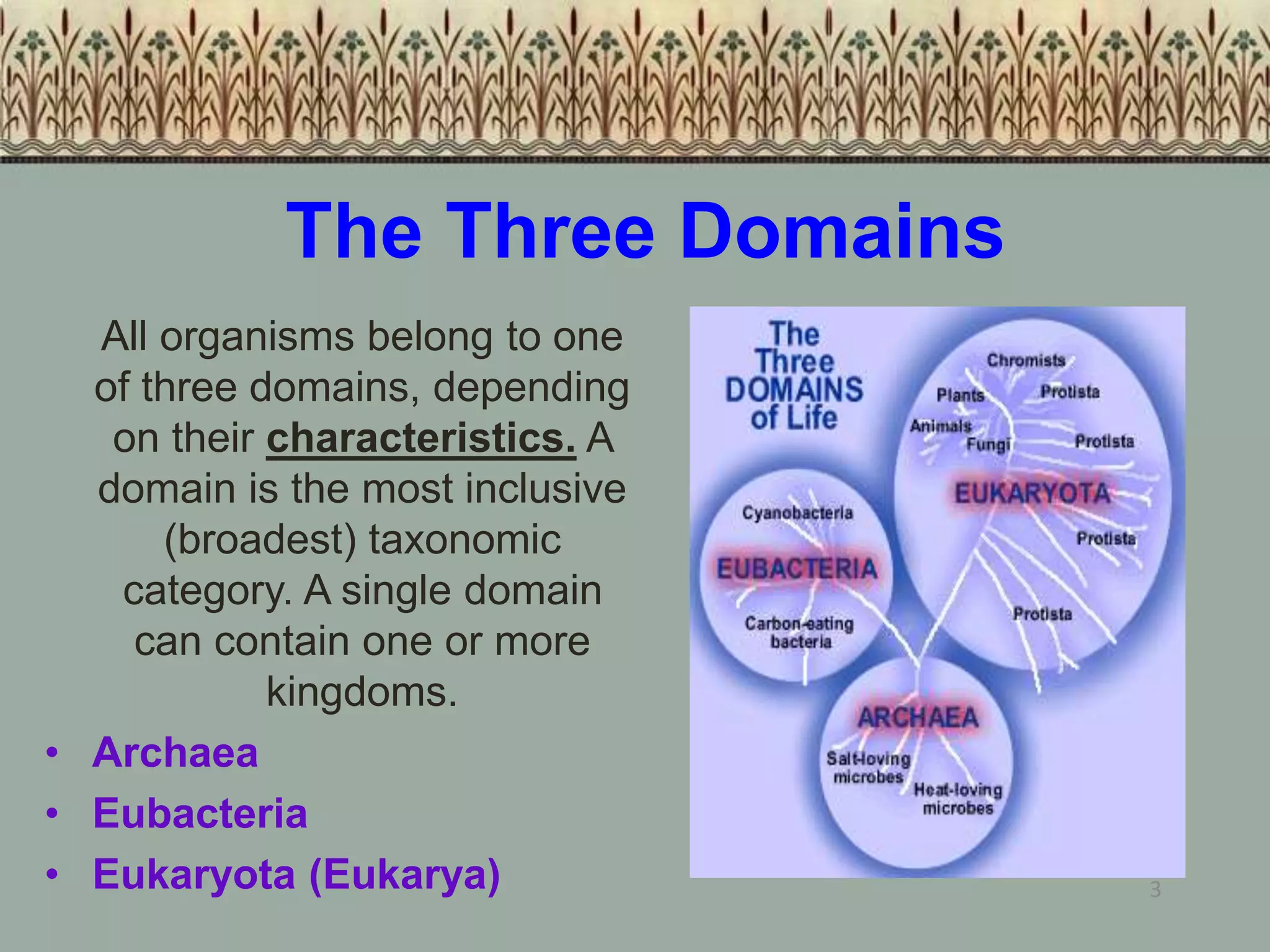 DOMAIN-KINGDOM-PHYLUM.pptx