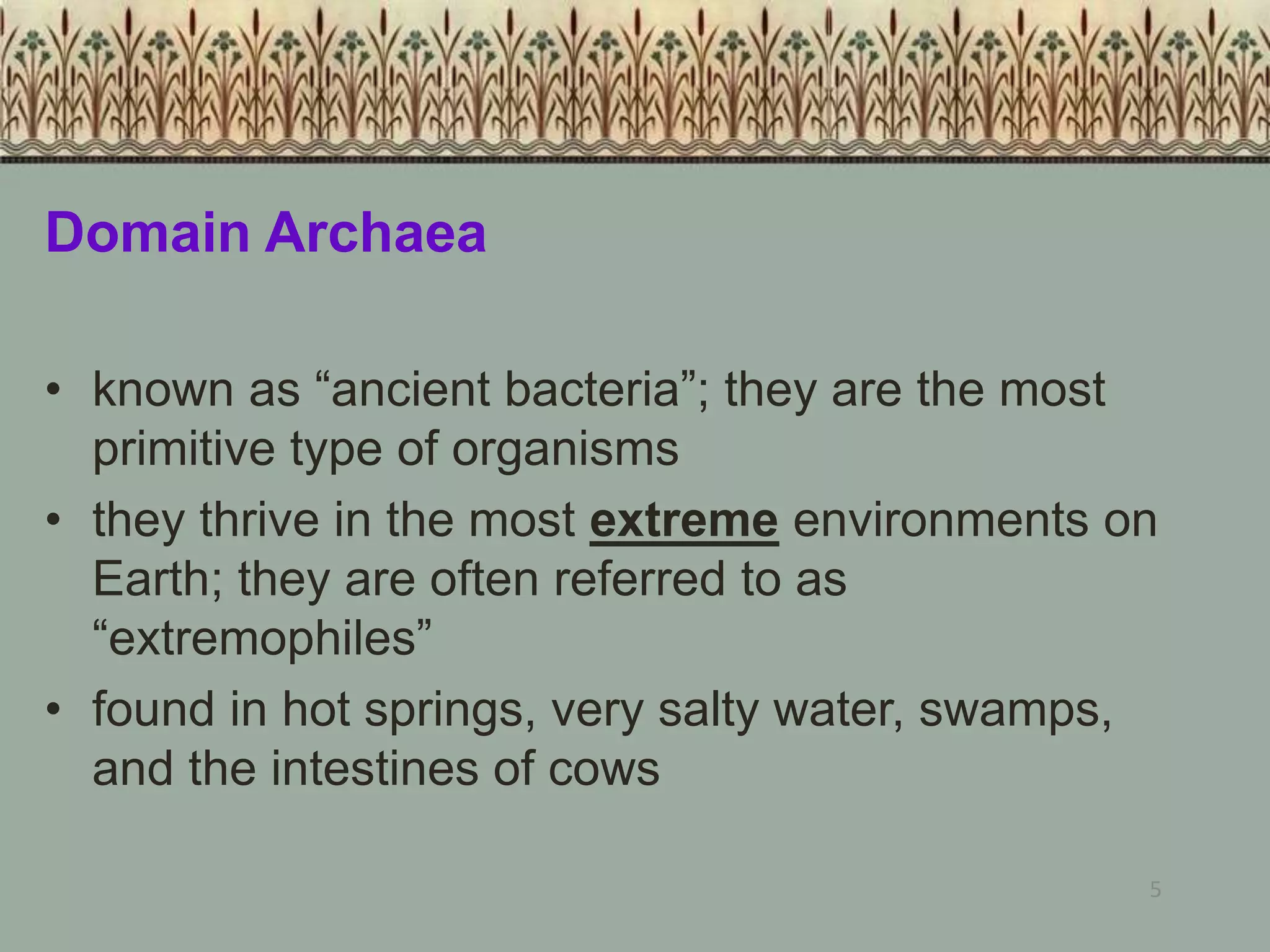 DOMAIN-KINGDOM-PHYLUM.pptx