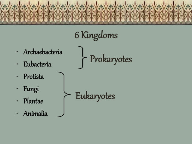 DOMAIN-KINGDOM-PHYLUM.pptx | Geography | Science