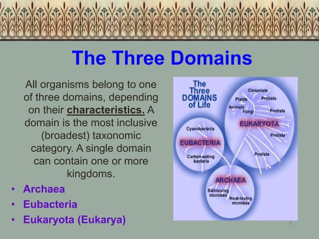 DOMAIN-KINGDOM-PHYLUM.pptx | Geography | Science