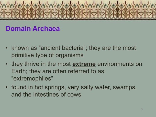 DOMAIN-KINGDOM-PHYLUM.pptx | Geography | Science