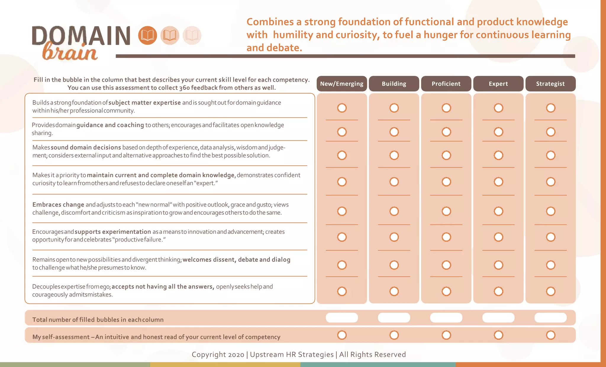 Domain Brain Self Assessment & Rating Scale | PPTX