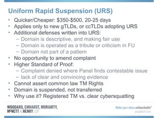 Domain Dispute Presentation | PPT
