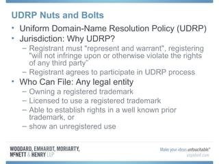 Domain Dispute Presentation | PPT