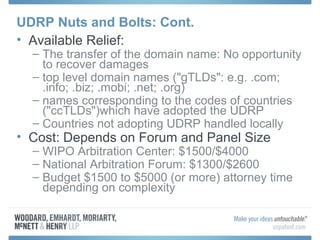 Domain Dispute Presentation | PPT