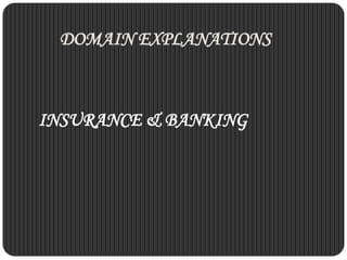 Domain explanations | PPT