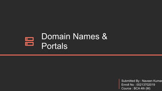 Domain Name and Web Portals | PPTX