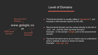 Domain Name and Web Portals | PPTX