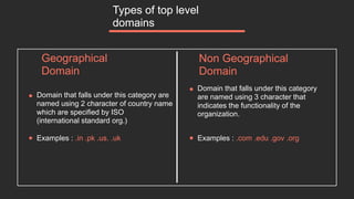 Domain Name and Web Portals | PPTX