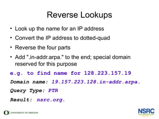 Domain Name System (DNS) Fundamentals | PDF