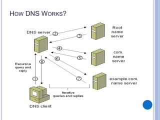 Domain naming system | PPTX | Web Hosting | Internet
