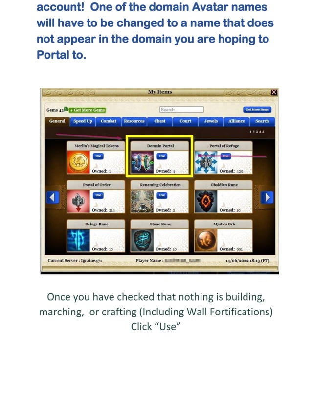 Domain Portal Instructions (Version 2) | PDF
