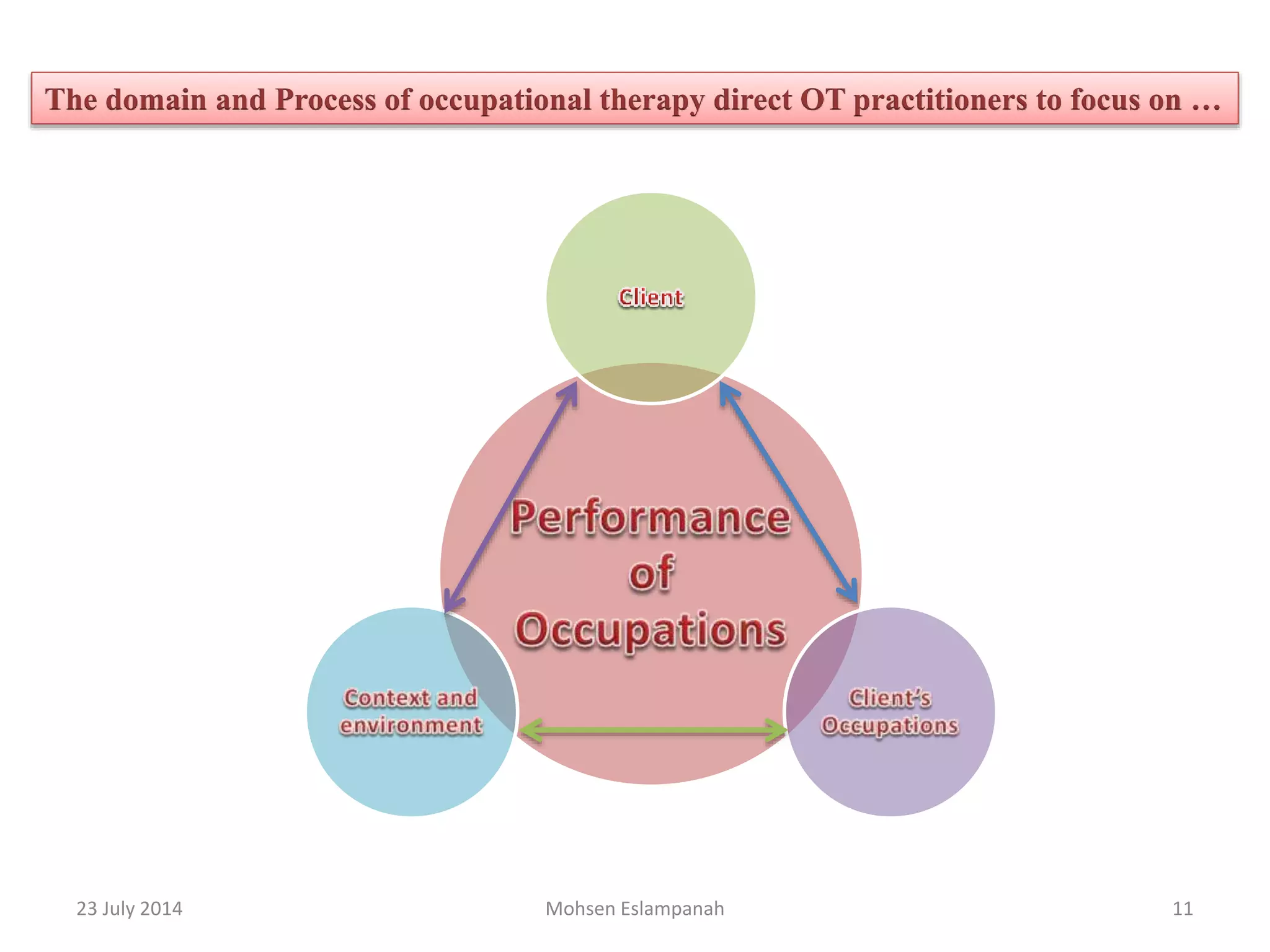 Occupational Therapy Practice Framework :Domain & process 2nd Edition ...