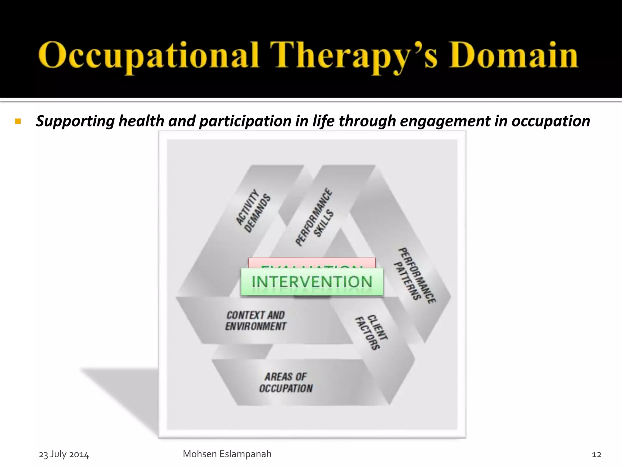 Occupational Therapy Practice Framework :Domain & process 2nd Edition ...