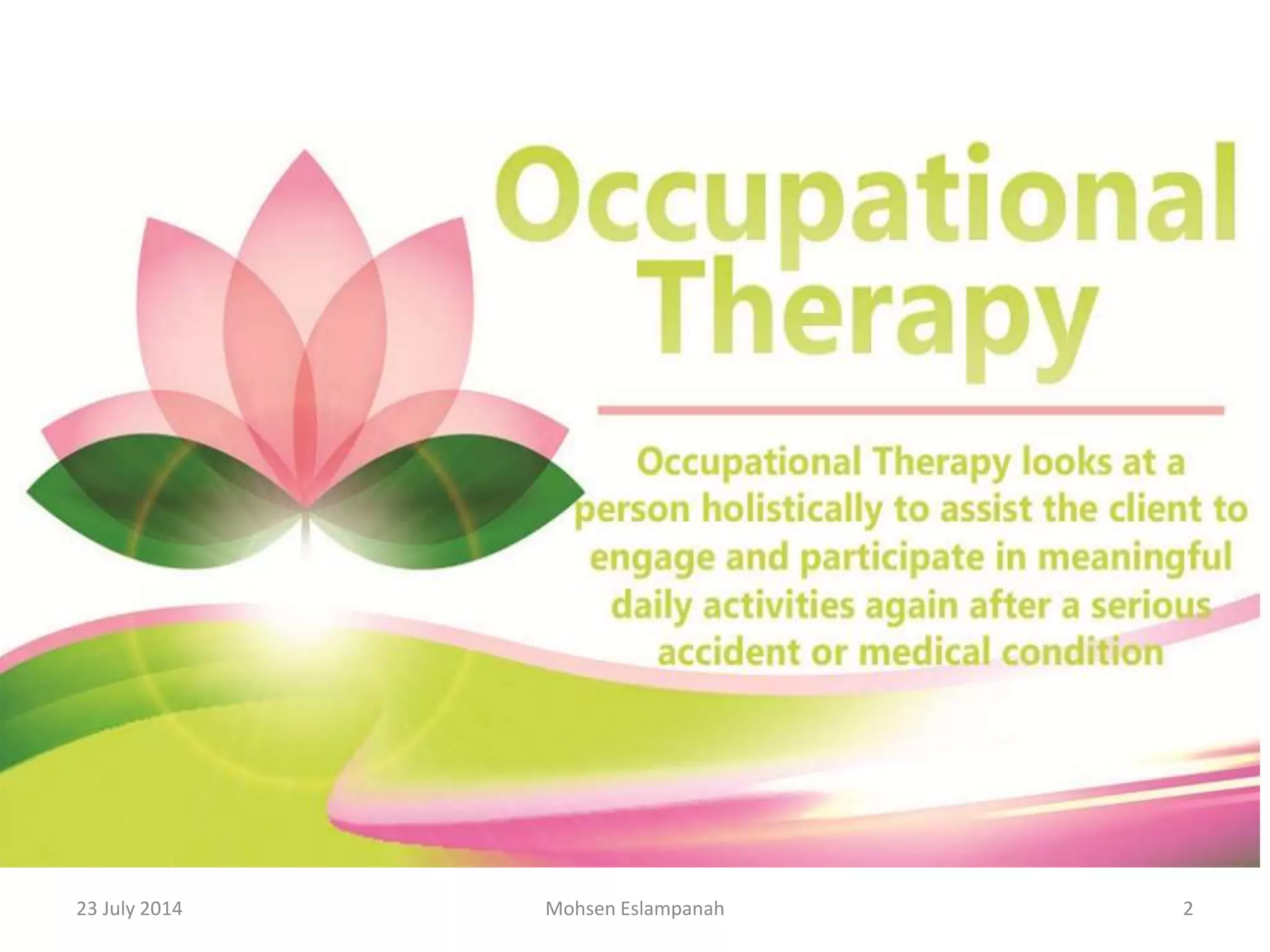 Occupational Therapy Practice Framework :Domain & process 2nd Edition ...