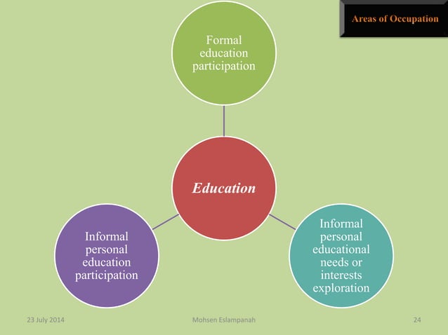 Occupational Therapy Practice Framework :Domain & process 2nd Edition ...