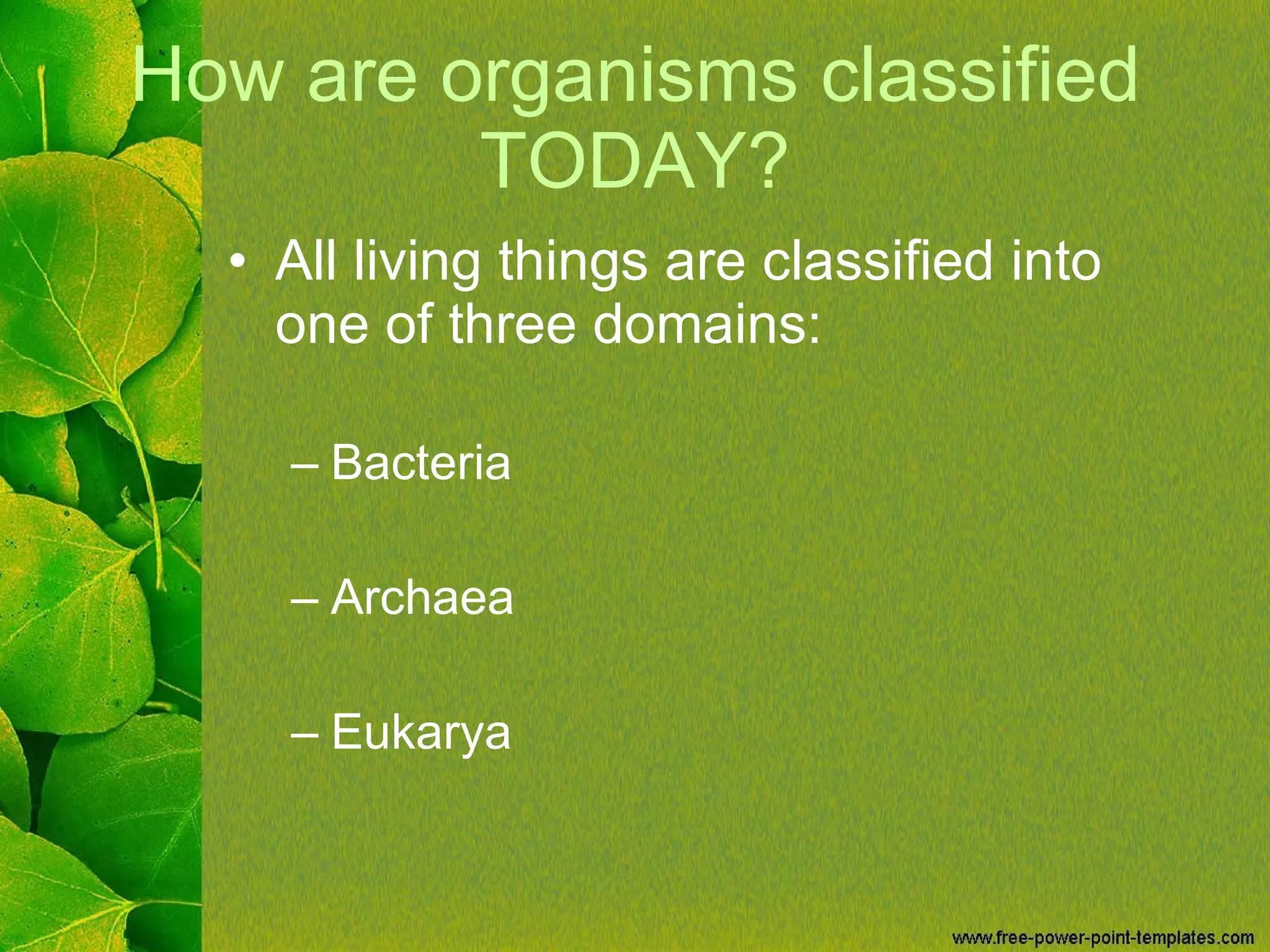 Domains and kingdoms (2) | PPT