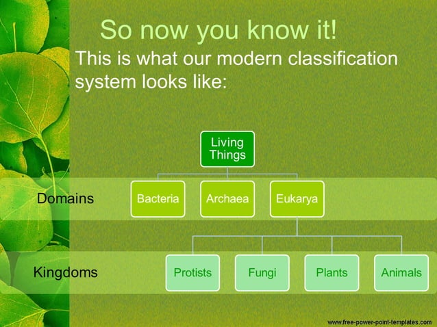 Domains and kingdoms (2) | PPT