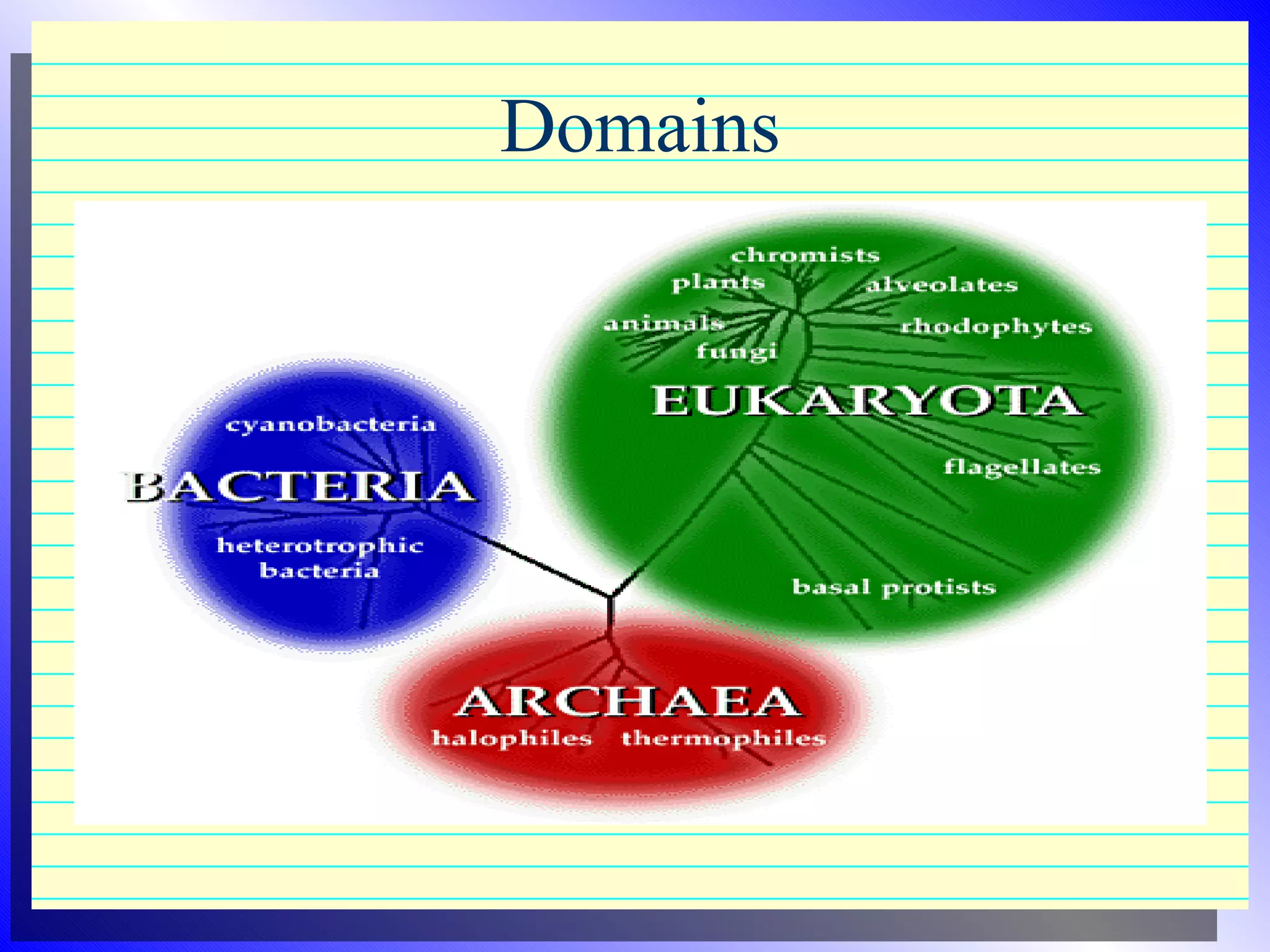 Domains and Kingdoms | PPT