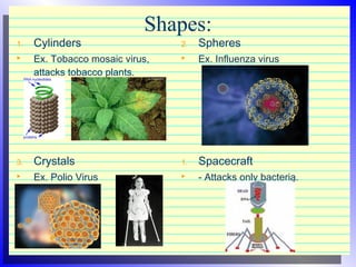 Domains and Kingdoms | PPT