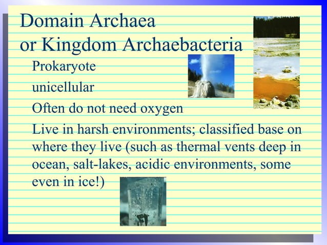 Domains and Kingdoms | PPT | Biological Sciences | Science