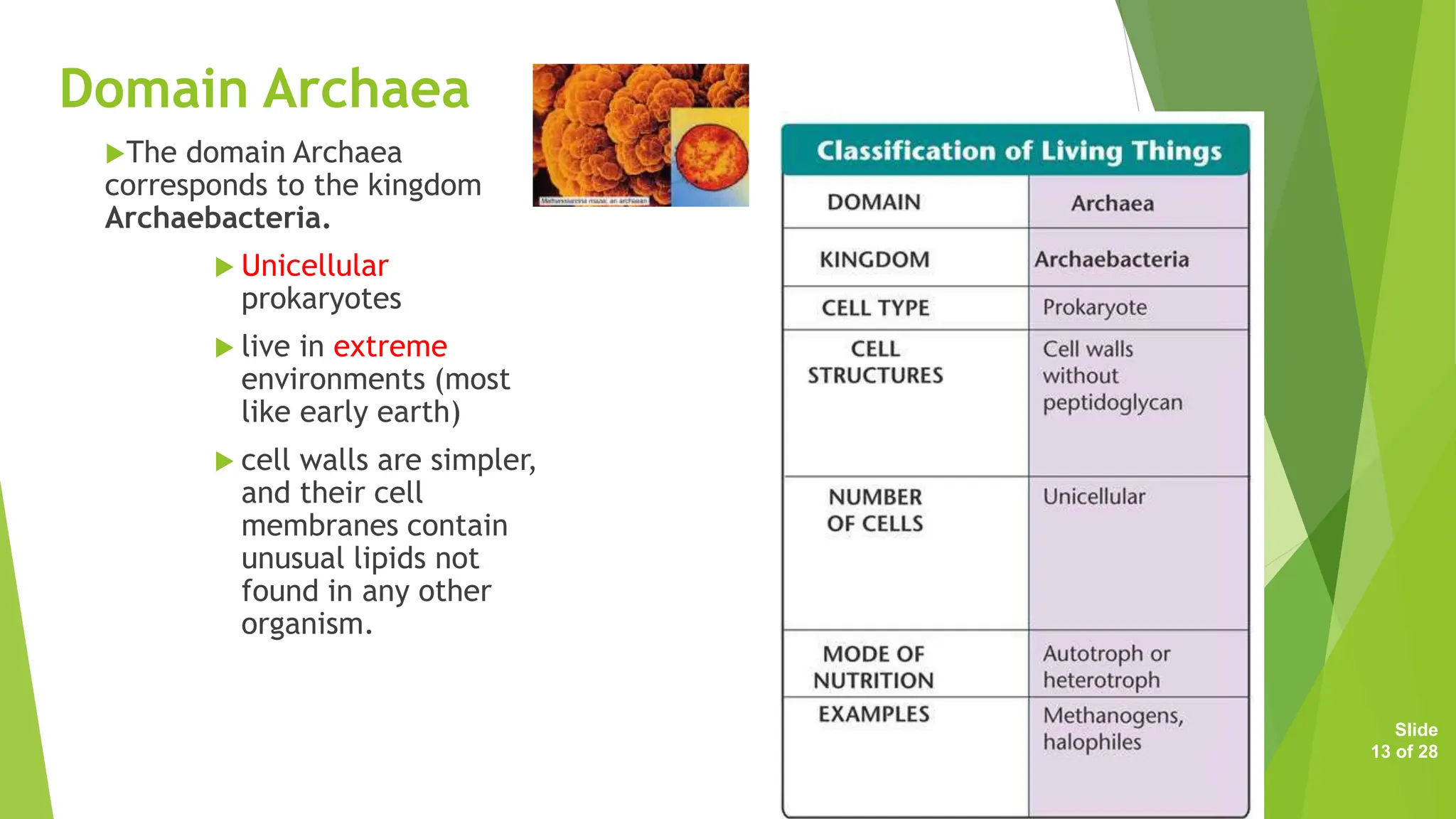 domains of life, archea, bacteria, eukarya.ppt