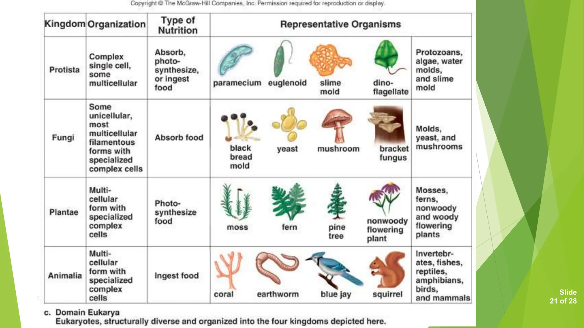 domains of life, archea, bacteria, eukarya.ppt