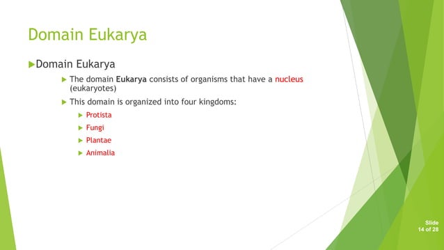 domains of life, archea, bacteria, eukarya.ppt | Operating Systems ...
