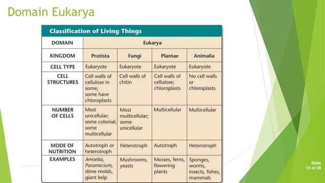 domains of life, archea, bacteria, eukarya.ppt | Operating Systems ...