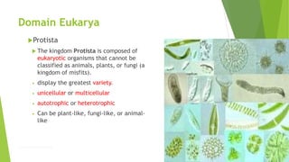 domains of life, archea, bacteria, eukarya.ppt | Operating Systems | Computer Software and ...