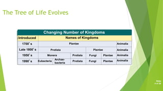 domains of life, archea, bacteria, eukarya.ppt