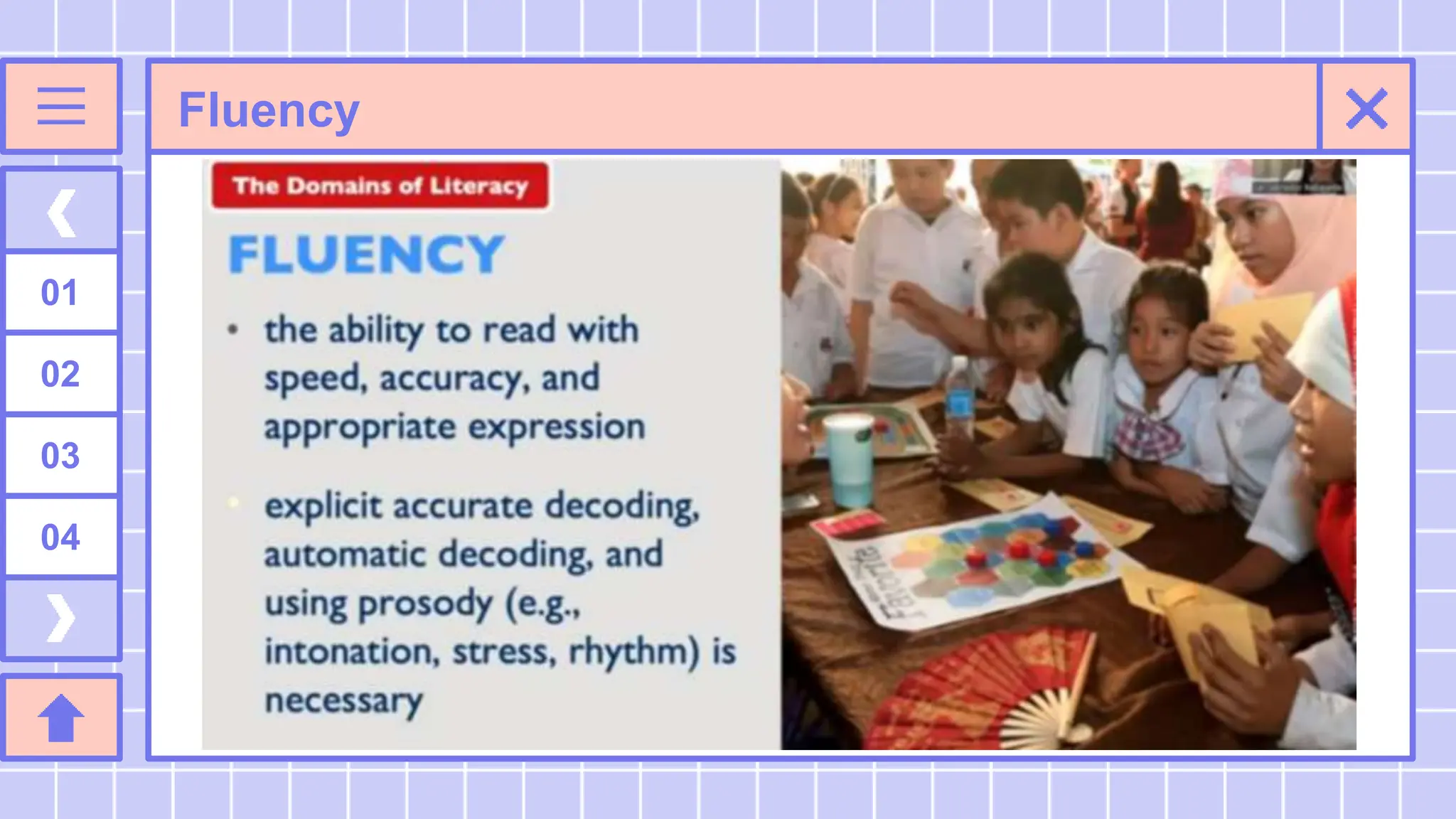 Domains of Literacy INSET for teachers., | PPTX