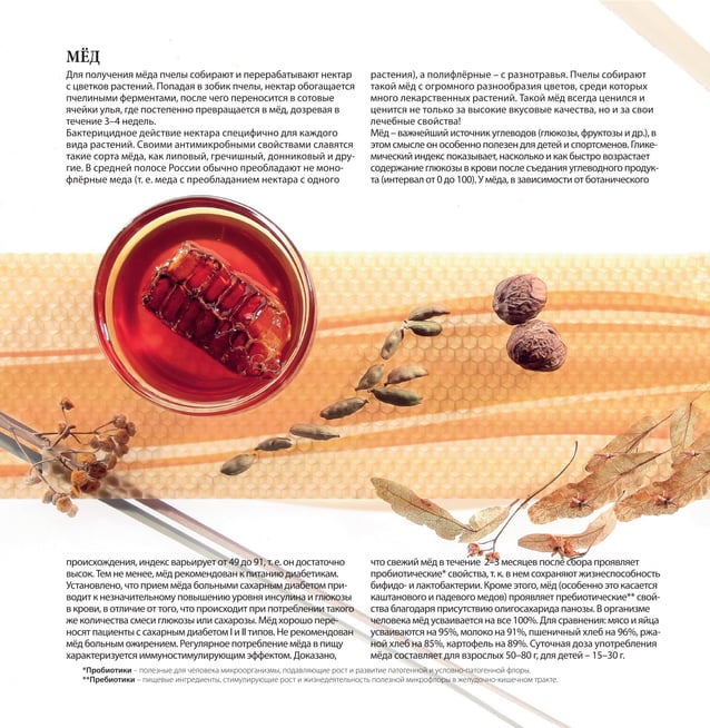 Каталог продукции Тенториум | PDF