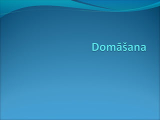 Domashana | PPT