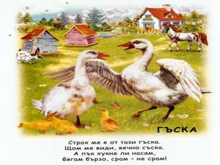 Domashni.jivotni Домашни животни в България | PPT