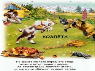 Domashni.jivotni Домашни животни в България | PPT