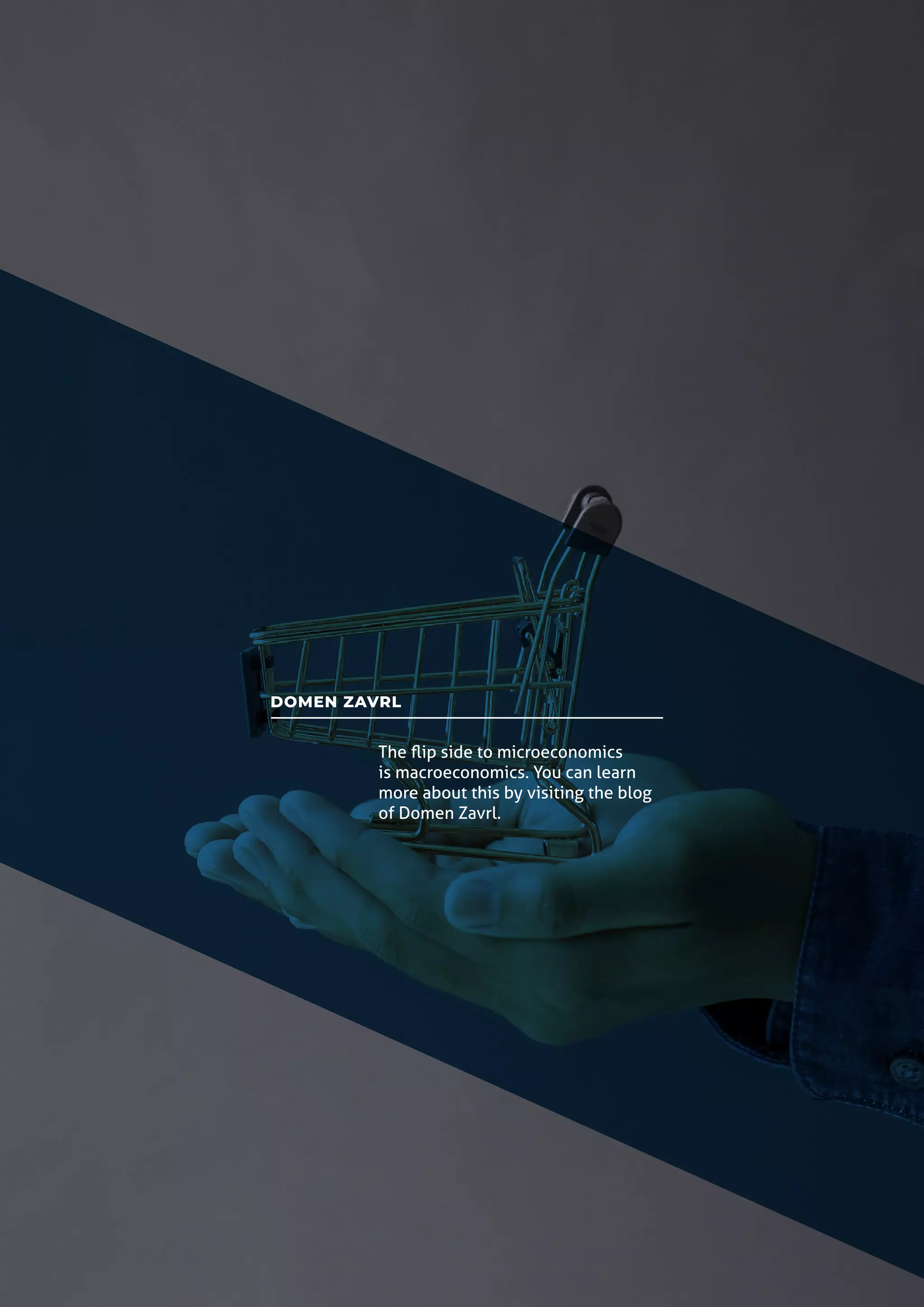 A Brief Introduction to Microeconomics | PDF