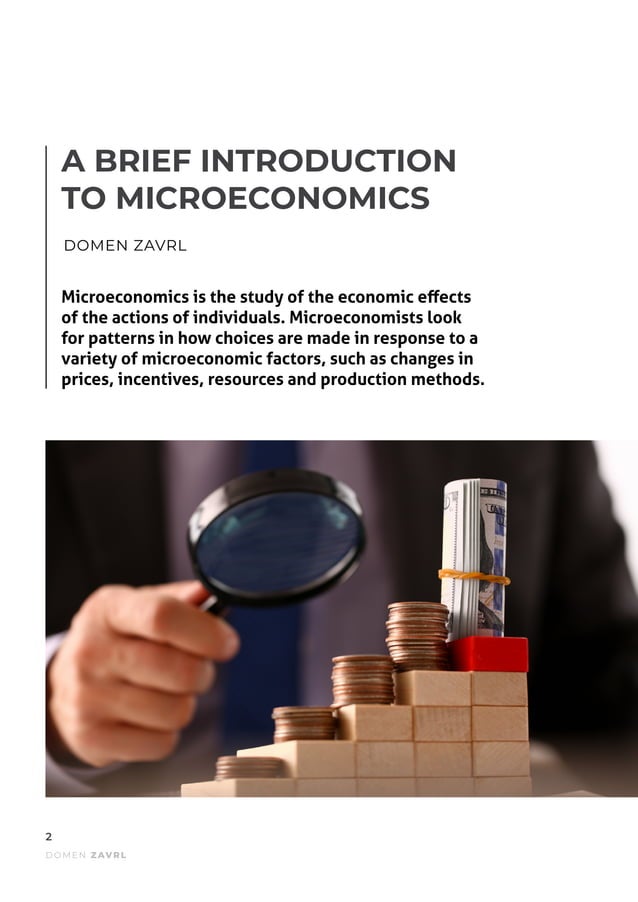 A Brief Introduction to Microeconomics | PDF