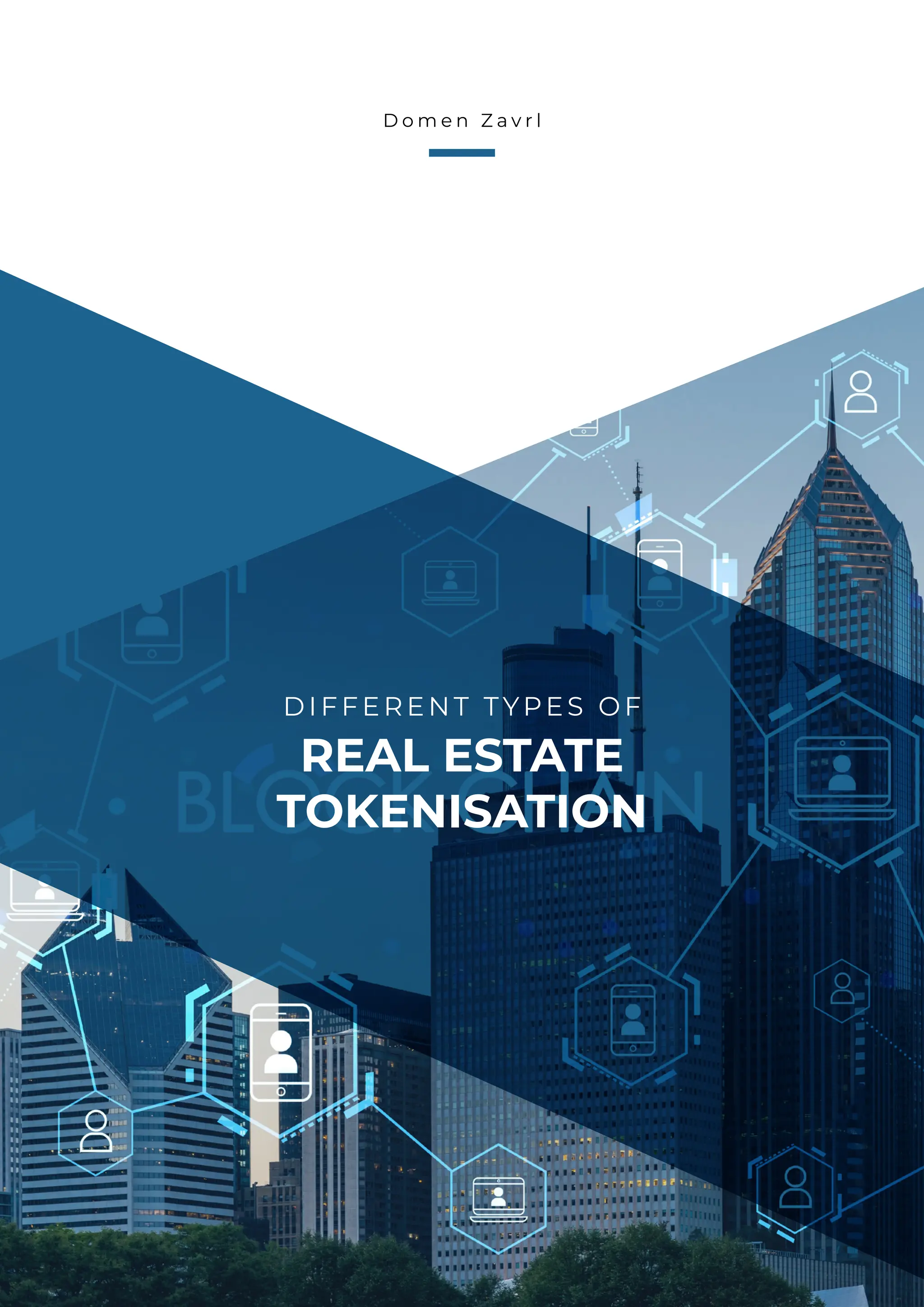 Domen Zavrl - Different Types of Real Estate Tokenisation | PDF