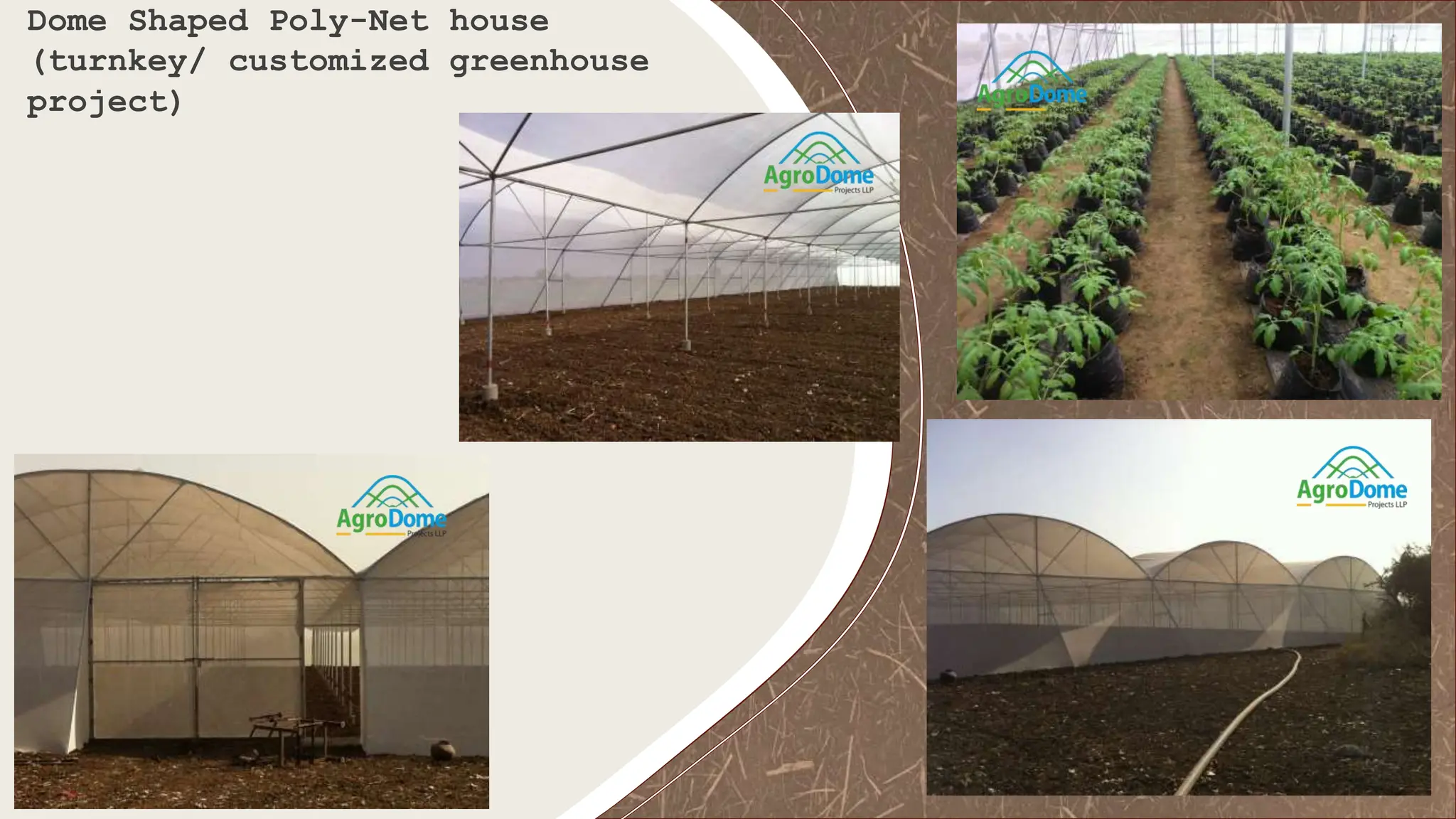 Dome shaped polyhouse agricultural greenhouse.pptx