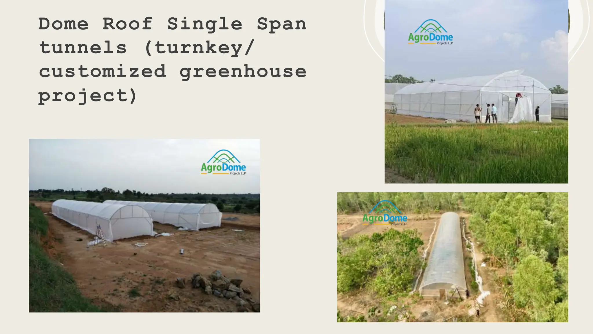 Dome shaped polyhouse agricultural greenhouse.pptx