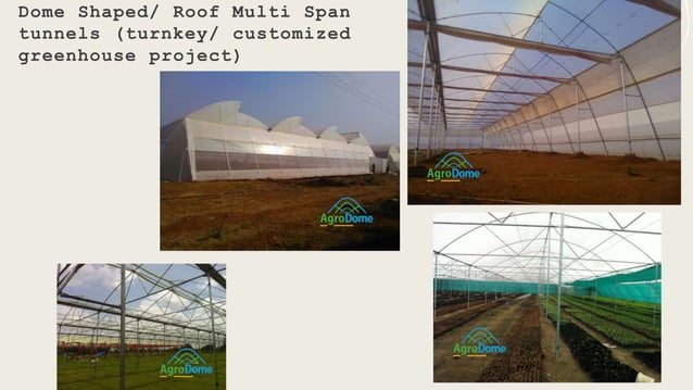 Dome shaped polyhouse agricultural greenhouse.pptx