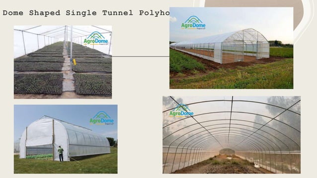 Dome shaped polyhouse agricultural greenhouse.pptx