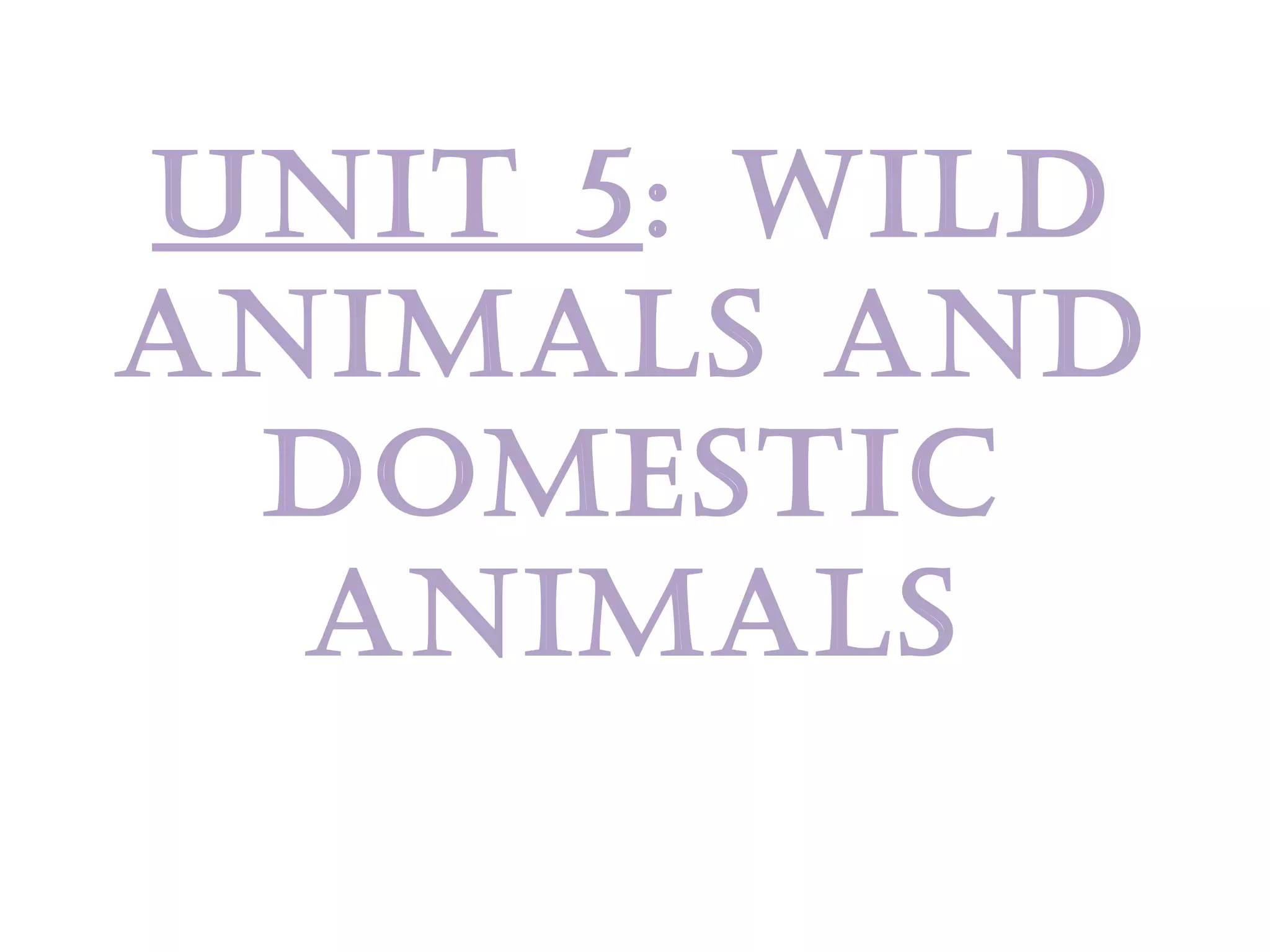 Domestic and wild | PPT