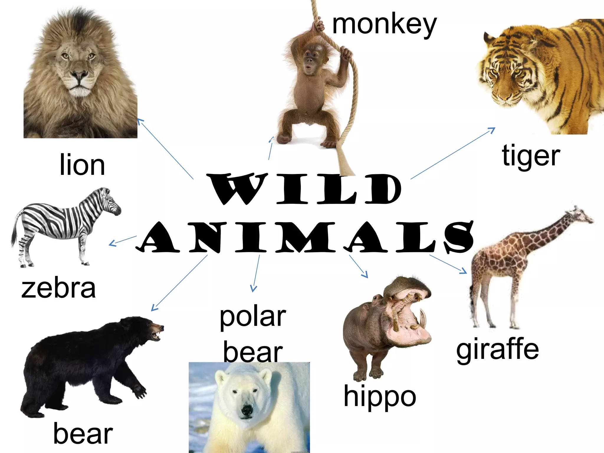 Domestic and wild | PPT